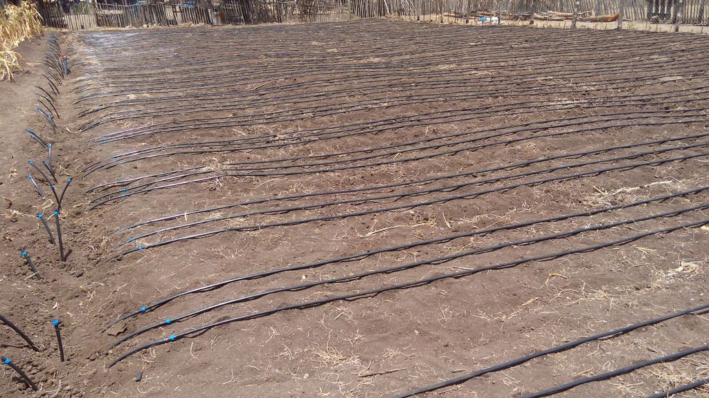 Dripsol Company proposes gravity drip irrigation systems - Bonjour Idée