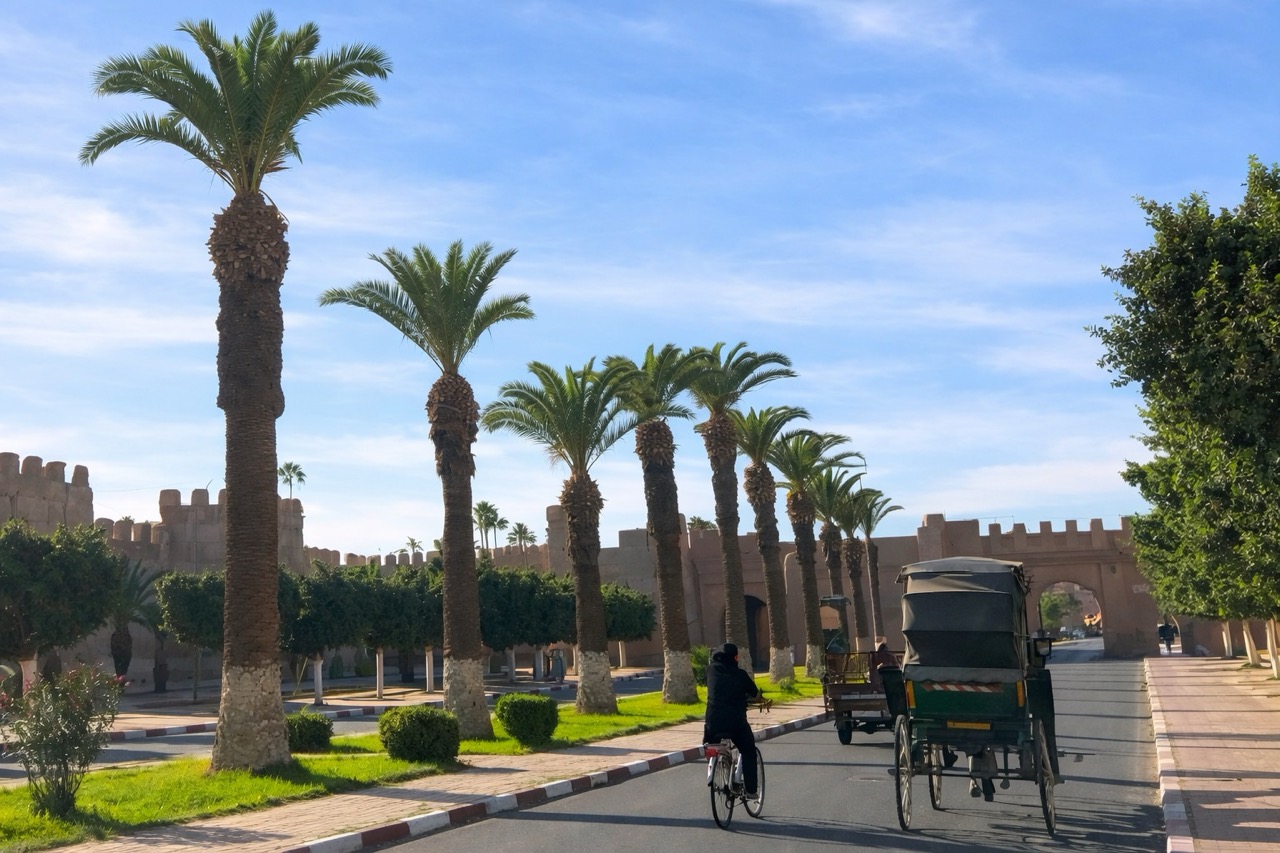 À découvrir : Taroudant et la palmeraie de Tiout, immersion dans le ...